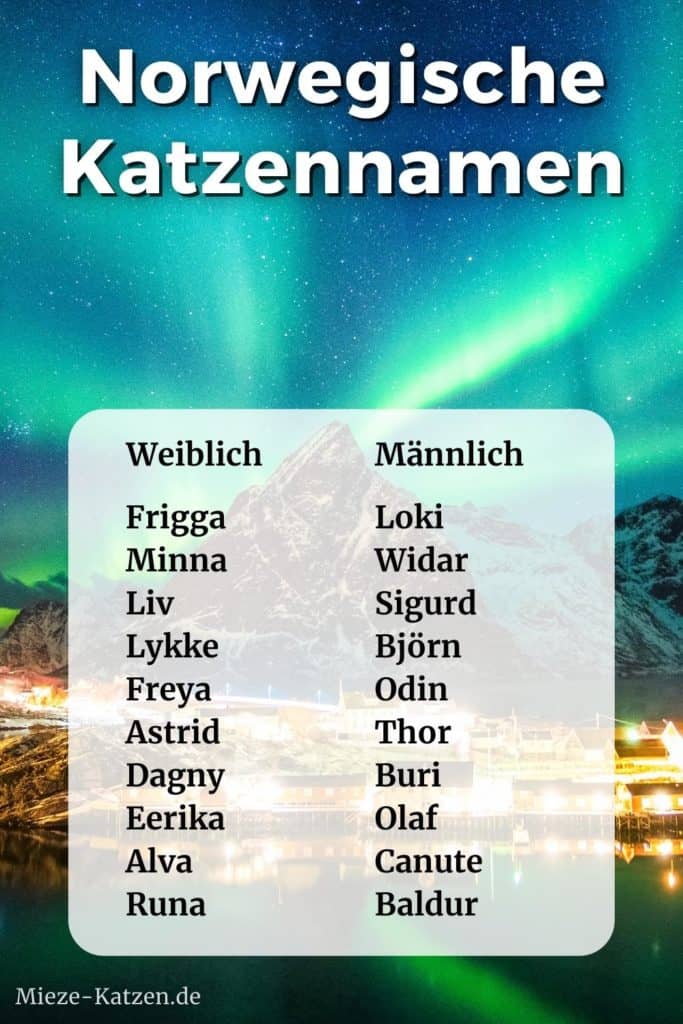 Katzen Namen Mit Bedeutung